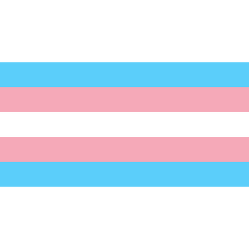 Trans Pride Flag – PrideMerch.de - Team Behinderte im Queer Cities e.V.